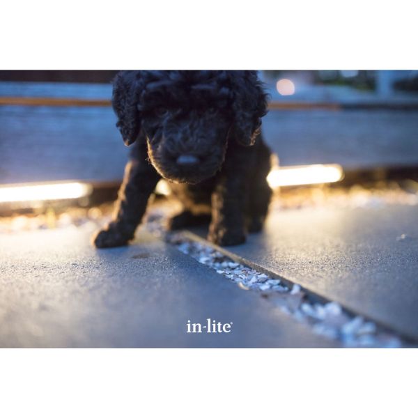 In-lite EVO HYDE 180 DARK 12v LED Low Voltage Outdoor Surface Lights